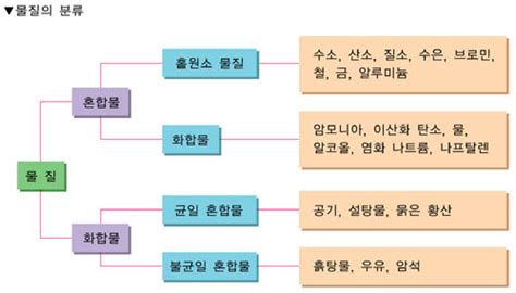 금성출판사 티칭백과