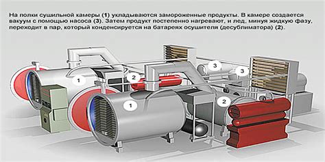Сублимационная сушка лиофилизатор. Статья компании Технонагрев