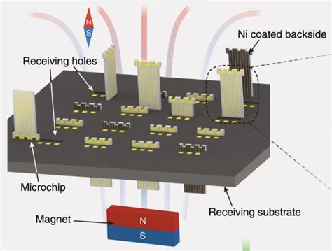 Magnetic Assembly A New Option For Delicate 3d Integration News