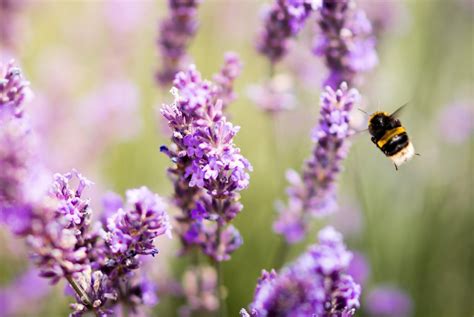 The Next Step For Gx Oss 10 • Great Expectations