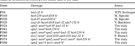 Table 1 From The Major Role Of Human Ap Endonuclease Homolog Apn2 In