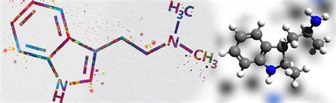 Dmt An Introduction To Natures Mind Altering Molecule