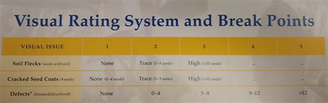 Soybean Visual Testing Sodak Labs Inc