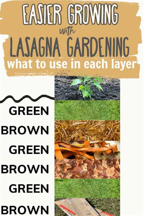 lasagna gardening layers made easy for beginners simple living
