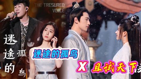 张碧晨胡彦斌《迷途的孤鸟》x《且试天下》，杨洋赵露思不负相思腾讯视频