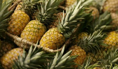 What Fruits Are Related To Pineapple At Erin Wright Blog