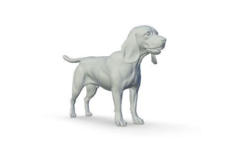 English Cocker Spaniel 3d Model Turbosquid 2217181