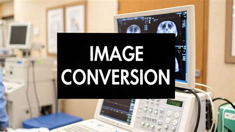 How I Use Nnunet For Medical Image Segmentation A Comprehensive Guide Pycad Your Medical