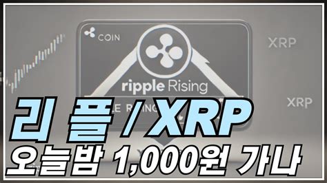 리플 Xrp 오늘밤 1000원 가나 Xrp 리플 리플전망 리플분석 리플코인 리플차트 리플재판 코인추천 알트코인추천 Youtube