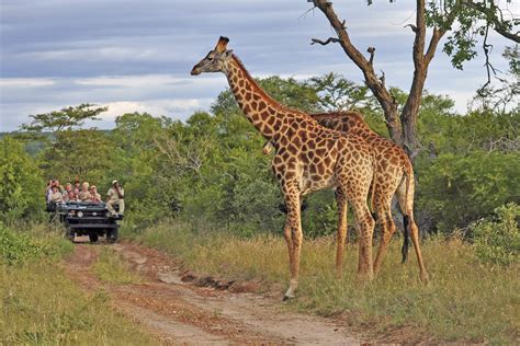 Rovos Rail Dar Es Salaam Cape Town Treni Di Lusso Viaggi E Tour