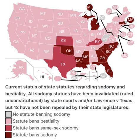 The Last Teacher´s Lesson A Derradeira Lección Do Mestre Classic