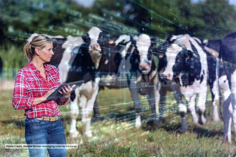 Beefing Up Productivity With Data Analytics