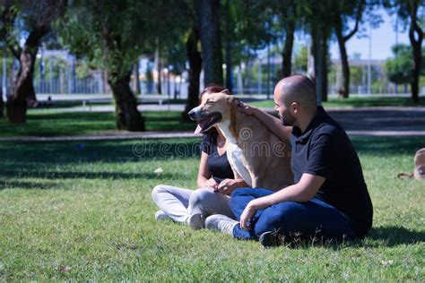 Casal Hispânico De Meia idade Sentado No Gramado Um Cão De Grande Porte Que Um Cão Gigante