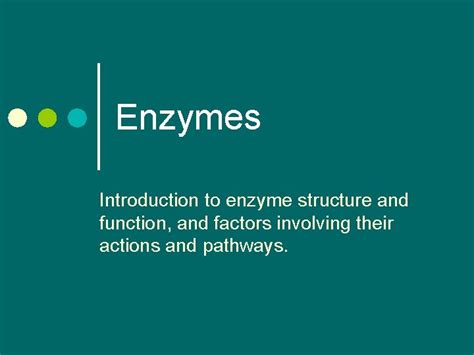 Enzymes Introduction To Enzyme Structure And Function And