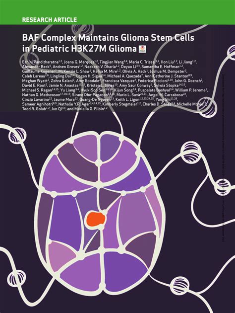 Pdf Baf Complex Maintains Glioma Stem Cells In Pediatric H3k27m Glioma