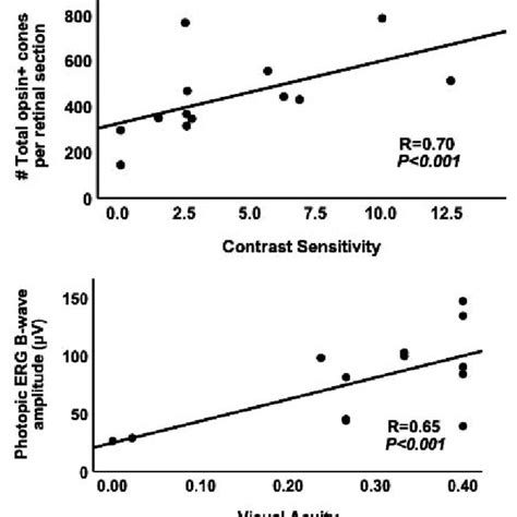 The Relationship Between Visual Performance Retinal Morphology And Download Scientific