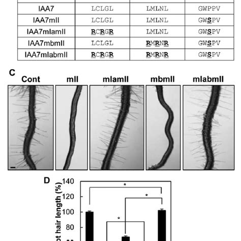 The Auxin Sensitive Root Hair Assay To Demonstrate The Repressive