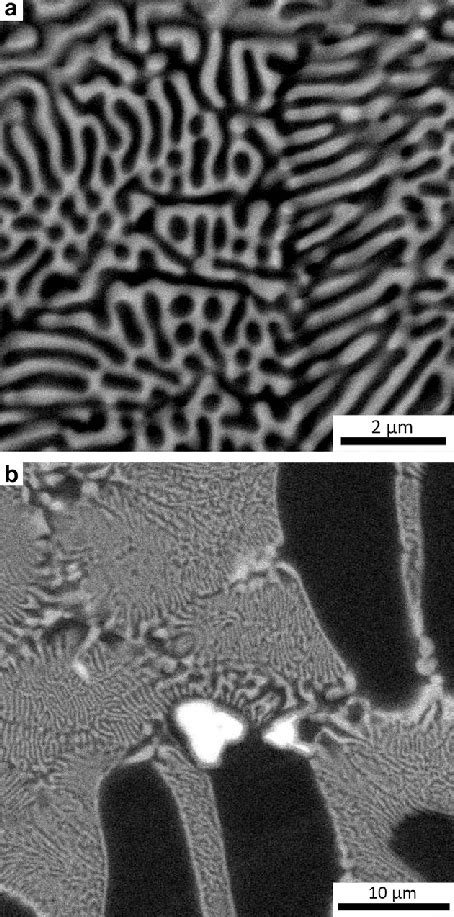 Sem Image Of The As Cast Alloy 30 5 A Detail Of The Structure Of The Download Scientific