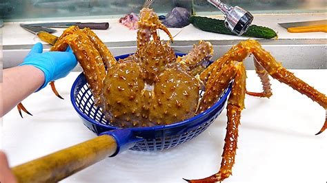 살이 꽉 찬 A급 킹크랩 역대급 살수율 300평 대규모 실내수산시장 Shorts Giant King Crab Seafood Korean Street Food