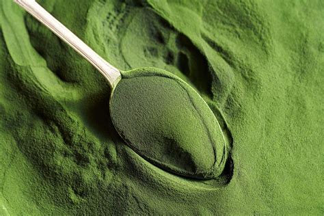 Edible Algae Health Benefits Varieties And Nutrition