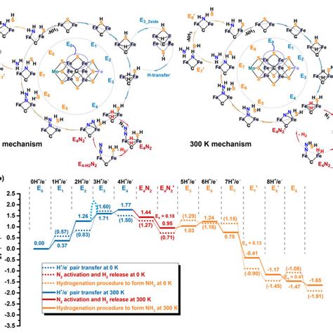 The Nitrogenase Enzyme And Femo Co Unit Used To Execute The Catalytic