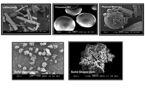 Sem Image Of Celecoxib Polaxamer 407 Physical Mixture And Solid
