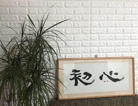 初心 좌우명 서예 표구 액자 초심 회사 사무실 붓글씨액자 인테리어 초심액자 전통 음식점 한문액자 인테리어 특별한