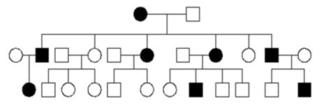 Autosomal Inheritance Flashcards Quizlet