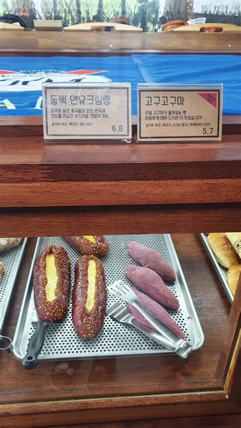 뮌스터담 파주 대형 베이커리 카페 And 펍 공연과 캠핑까지 네이버 블로그