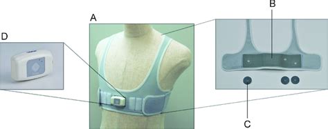 Garment Ecg System With Hitoe 1 Dry Electrode A The Hitoe 1 Dry