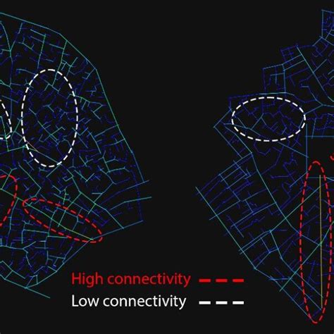Comparative Analysis Of Synergy On The A First Morphological Phases