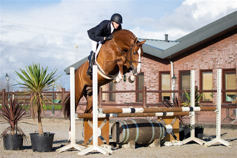 Breeding Party In De Hus