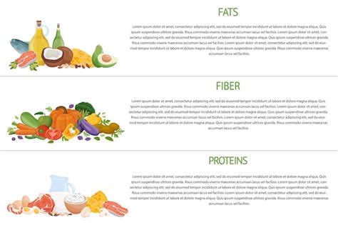 Premium Vector Set Of Healthy Macronutrients Proteins Fats And Carbs