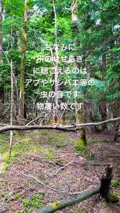 山を見に行っただけの動画shorts Youtube
