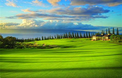 The Cook Pine Club Wailea Resort Association