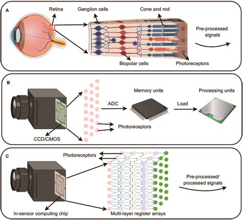 In Sensor Visual Perception And Inference Intelligent Computing