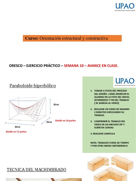 Trabajo Práctico Semana 10 Pdf