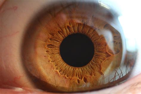 Wallpaper Id 764409 Body Part One Person Eyelash Vision 2k