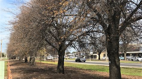 Essendon Fields Master Plan Formium