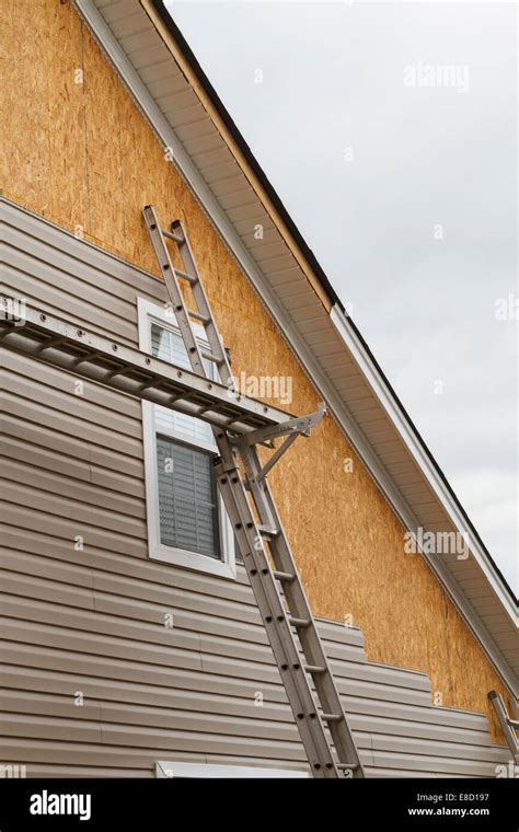 Osb China New Osb Plant To Start Production In 2020 Global Wood