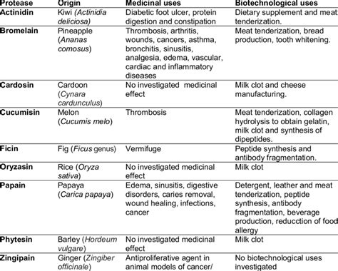 Examples Of Plant Proteases And Some Medicinal And Biotechnological