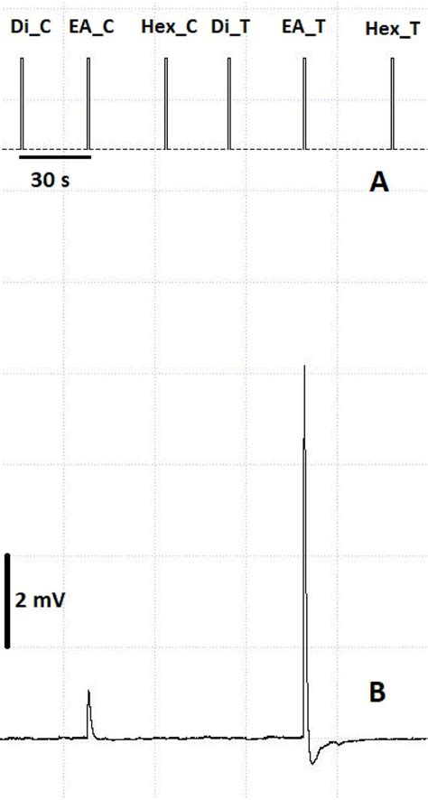 Electroantennogram Of Asymbiotic Female Antennae Towards Control
