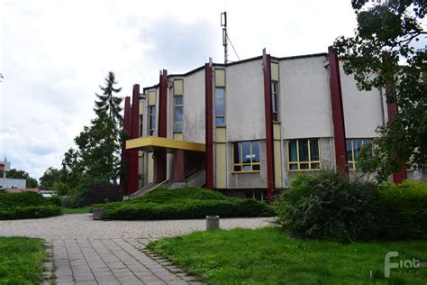 Więcej urodzeń czy zgonów jak wyglądał rok w Częstochowie CZESTOCHOWSKIE PL