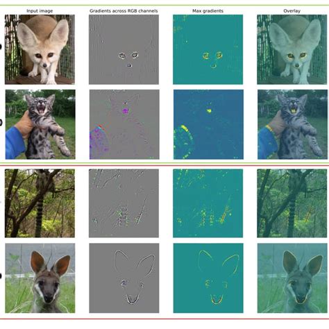 Feature Visualisation For Images With Highest Output Activation Top Download Scientific