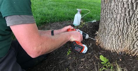 Planthealth Wide Metropolitan Forestry Services Inc