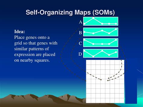 Ppt Self Organizing Maps Powerpoint Presentation Free Download Id