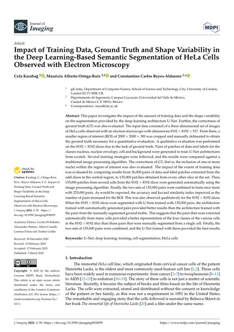 Pdf Impact Of Training Data Ground Truth And Shape Variability In The Deep Learning Based