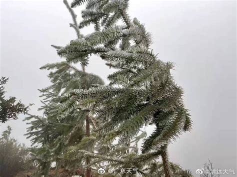 天气现场手机新浪网