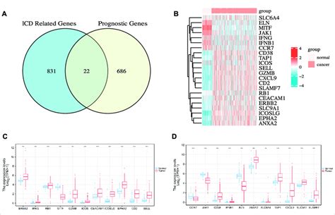 Identification Of The Candidate Icd Related Prognostic Genes In The