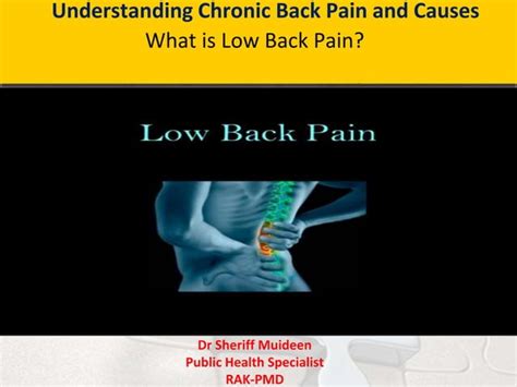 Low Back Pain Lumbago PPTX